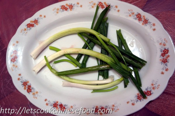 Chinese Recipe : Steamed Fish (食譜 : 清蒸海上鮮)