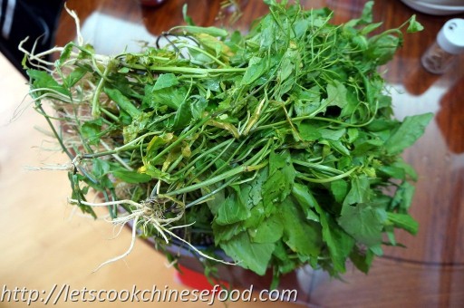 Chinese Soup Recipe : Kudzu with Snake-head Fish Soup (中式湯水食譜 : 野葛菜生魚湯)