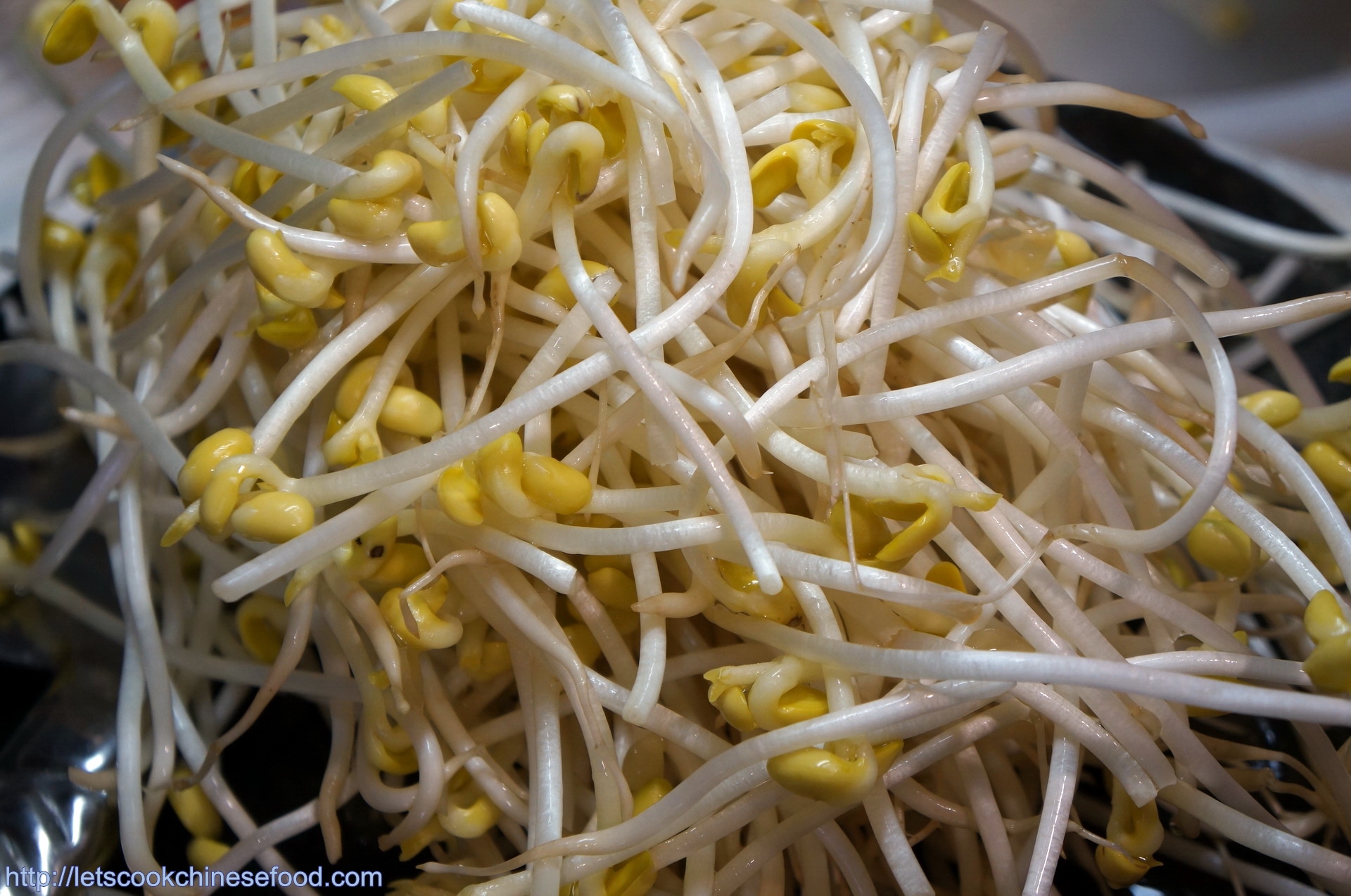Chinese Recipe : Stir-fried Soy bean sprouts with minced pork ( 中菜食譜 ...